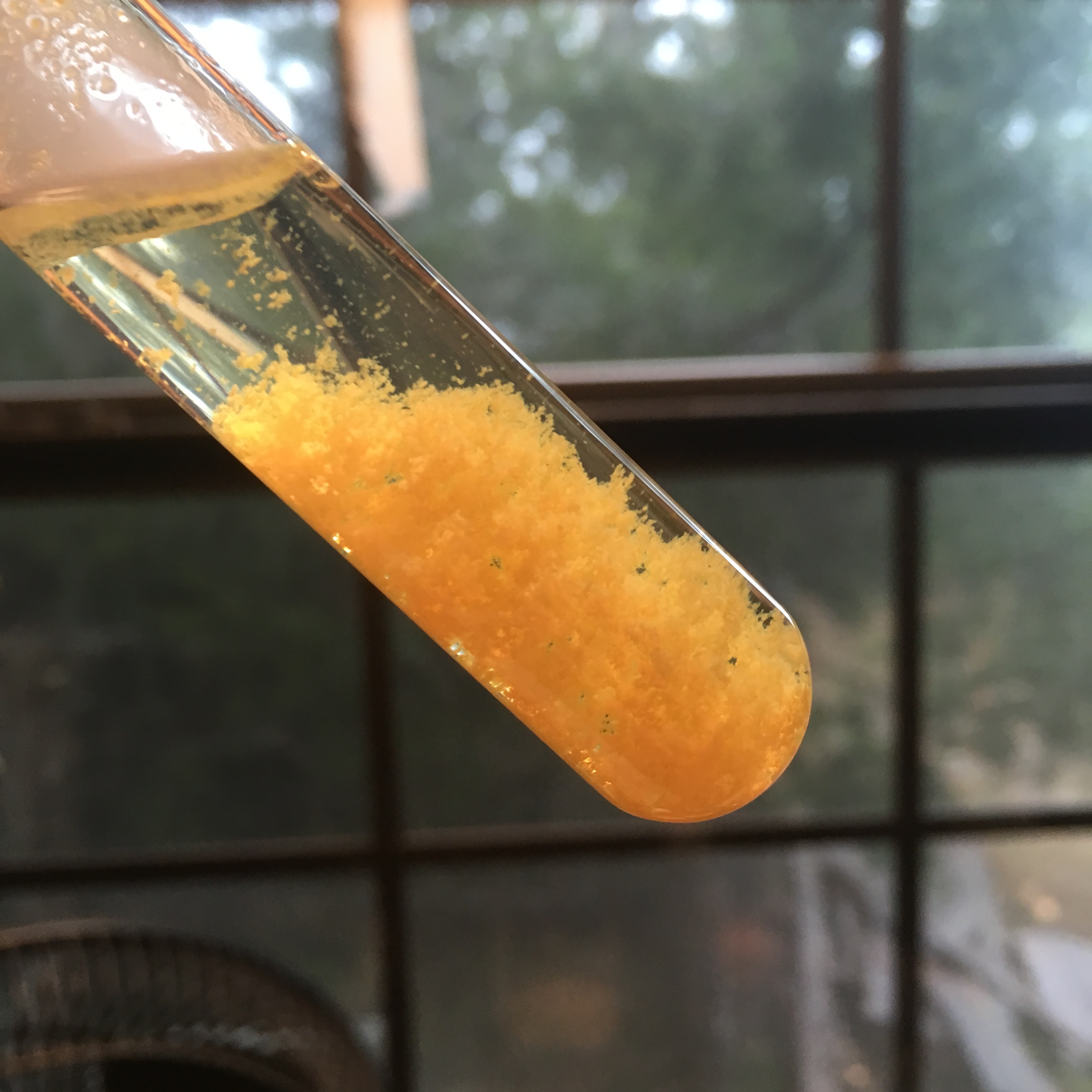 Texium | Synthetic Organic Chemistry, et al.